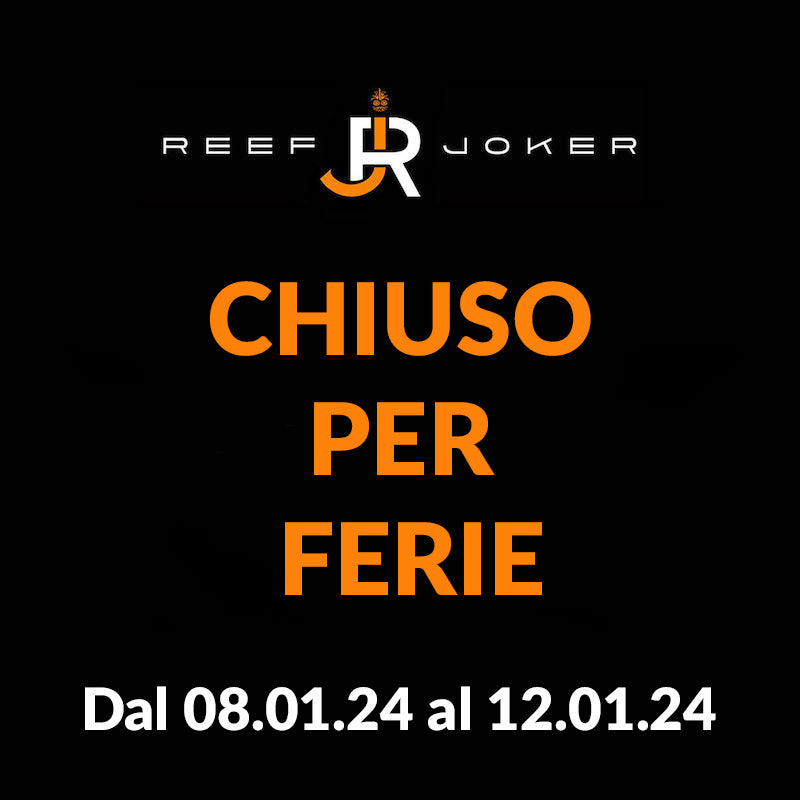 Chiuso dal 08 al 12 Gennaio